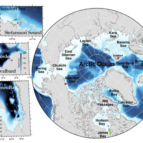 NEW PAPER BY THE LAB: LIGHT AND ARCTIC SEA FLOOR – AquaTel